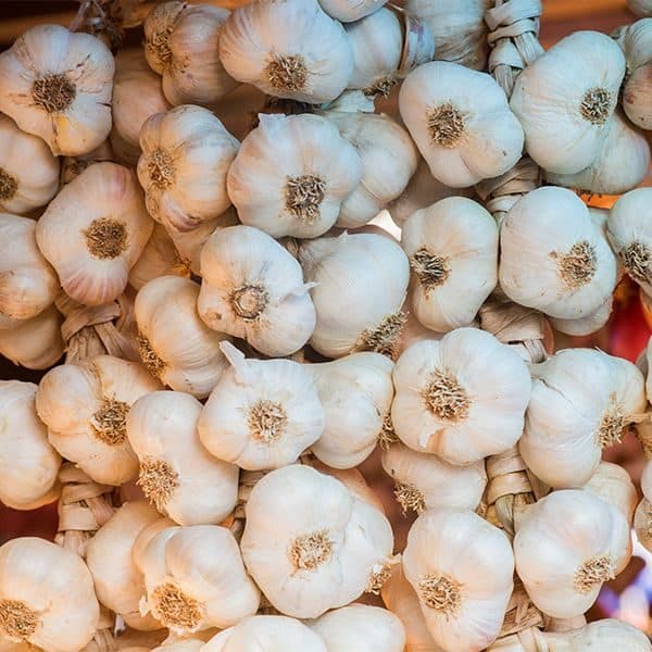 Hendawy Export — Egyptian Agricultural Exports